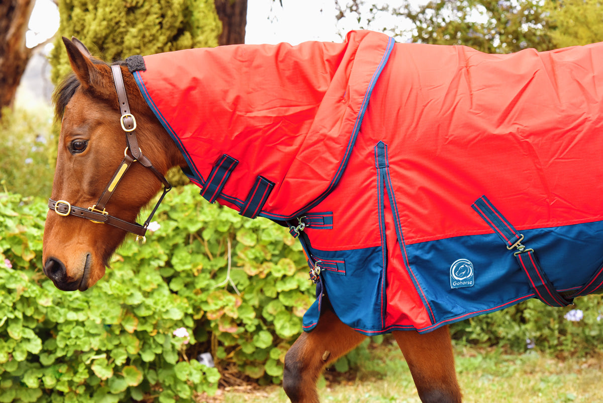 Padded Blanket Detach Neck – Go Horse