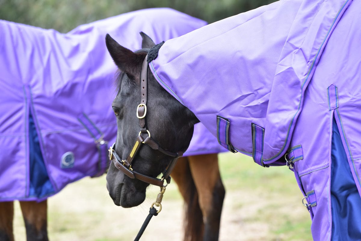 Pindar Pro Padded Detachable Neck Combo – Go Horse