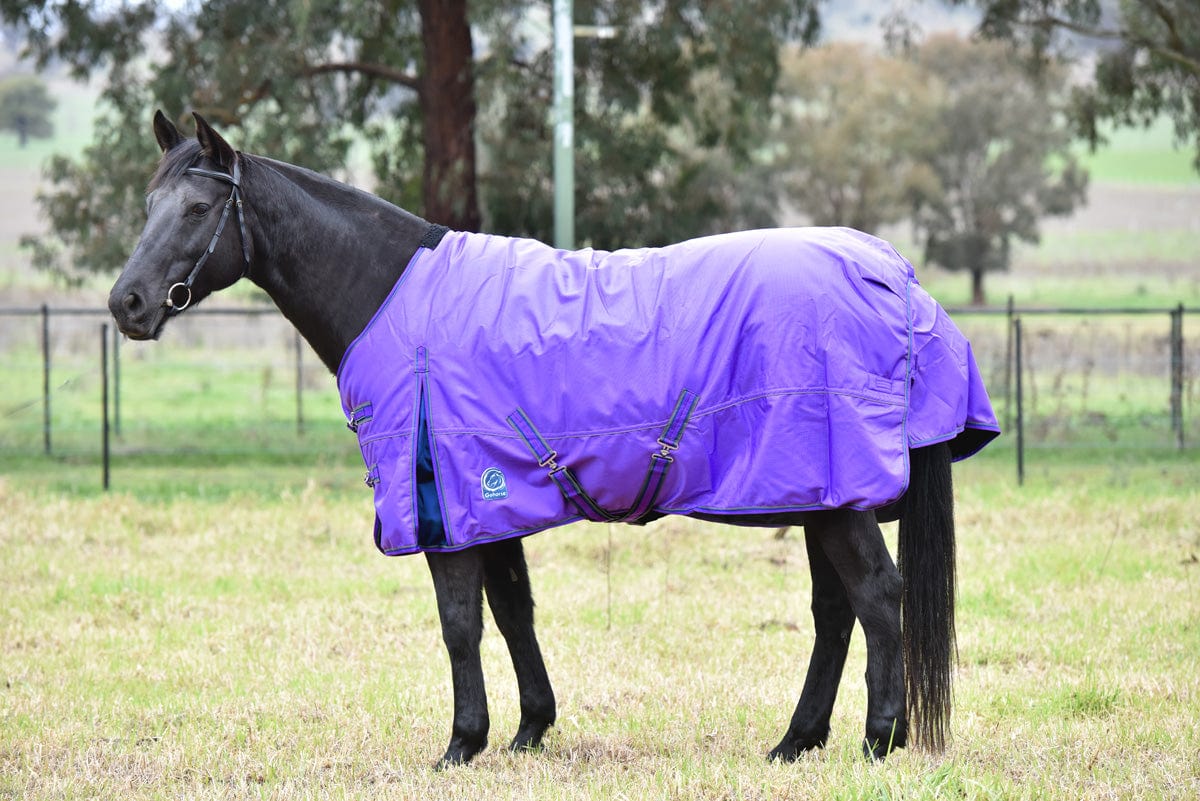 Pindar Pro Padded Rug – Go Horse